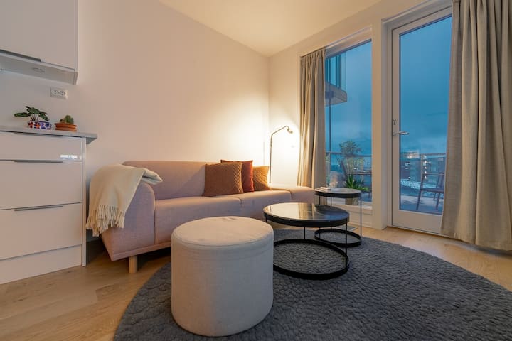 Northern Light Apartments Skir Ocean View - 트롬쇠