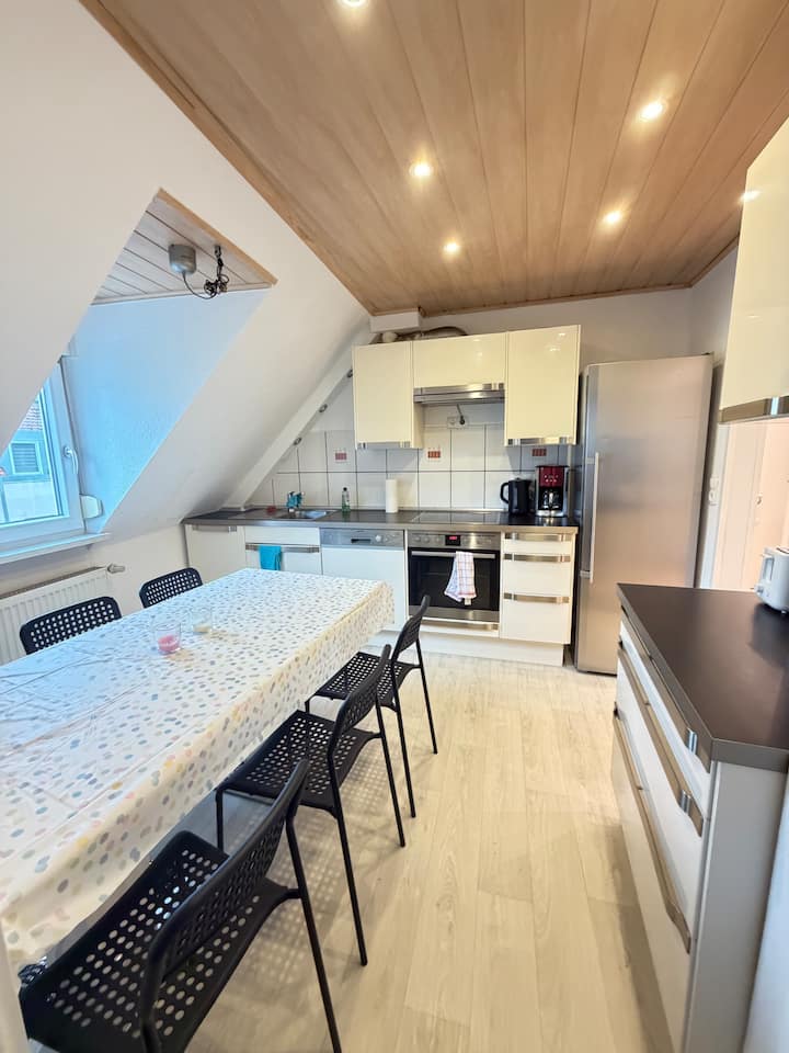 Zentrale Wohnung In Heidingsfeld - Würzburg