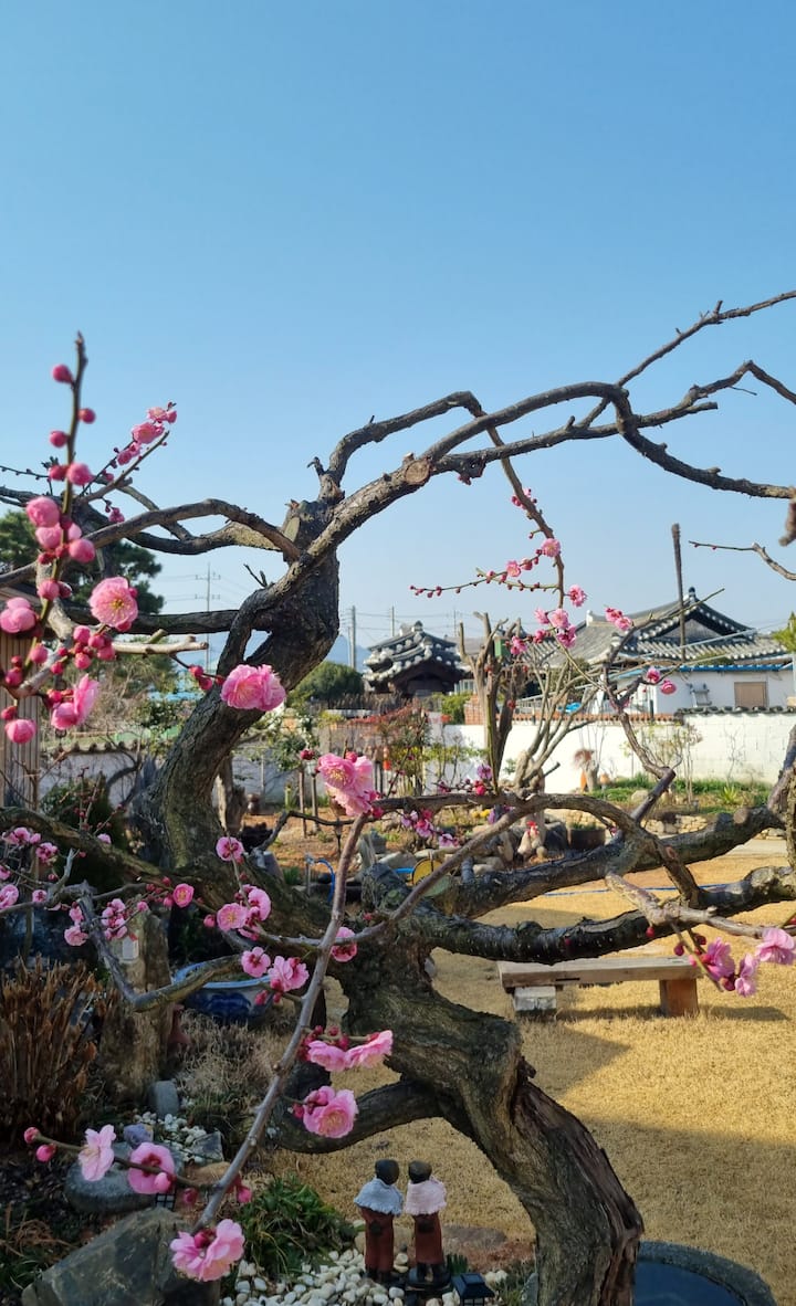 An Experience Beyond Mere Staying At Mok Ri Ahn - Incheon