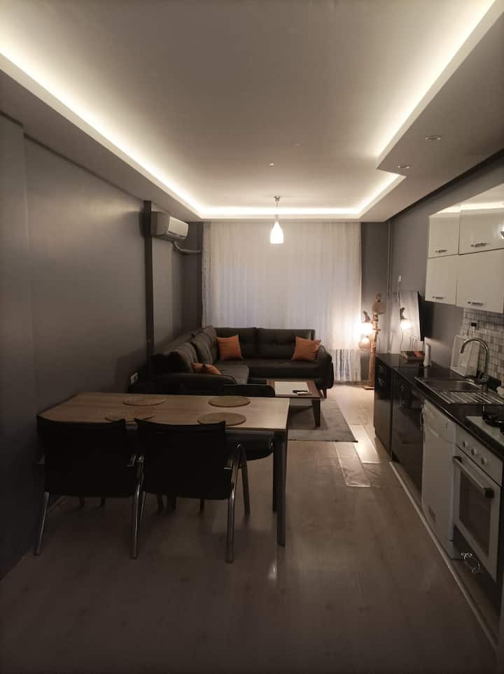 Reşatbey'de ÇIft Klimalı 2+1 Daire + Wifi - Adana