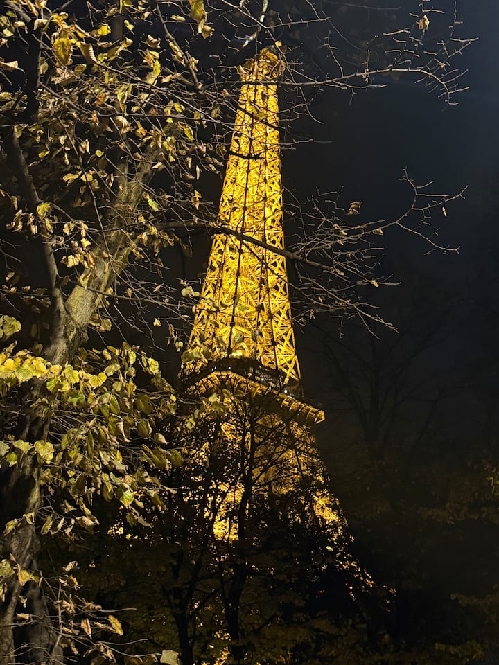 Elffel Tower - 4 Min Walk, Elegant Apartment - Paris
