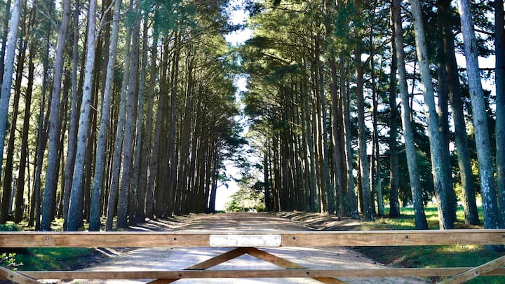 Jose Ignacio Country House! - Faro de José Ignacio