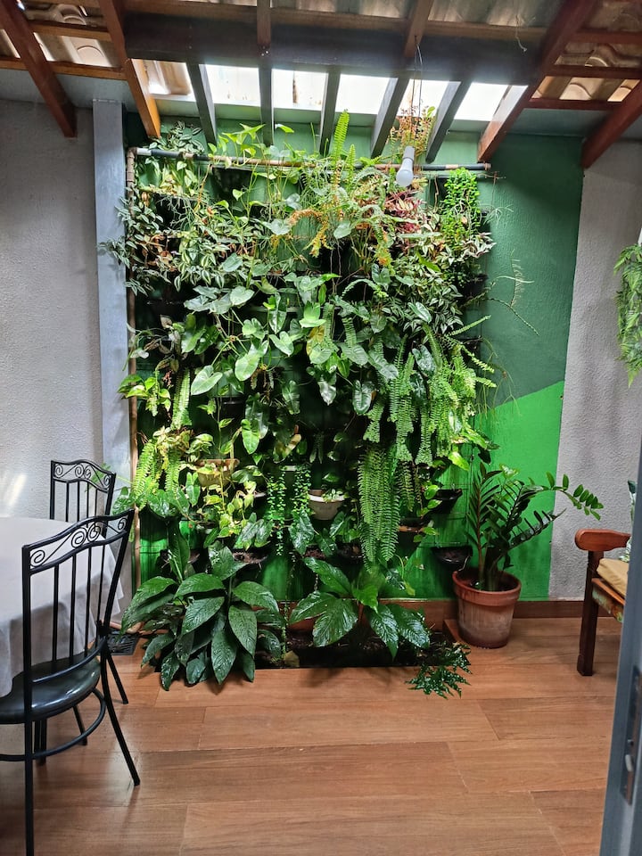 Flowerhouse 2 Próx: Uems,  Bairro Sírio Libanês 2. - Campo Grande