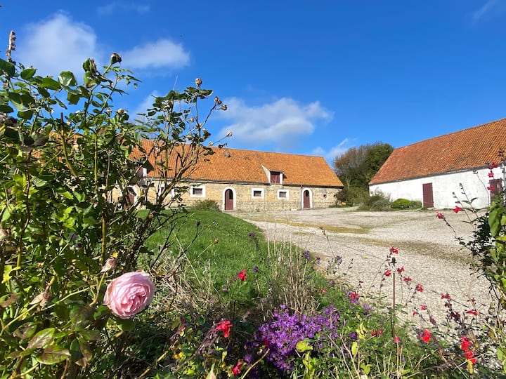 Petite Maison Dans Beau Corps De Ferme - Wissant