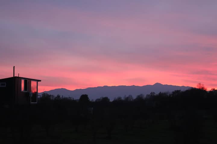 Orchard Guard Tower - Albanie