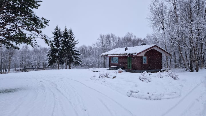 Gjestehytte På Idyllisk Landsted - Norway