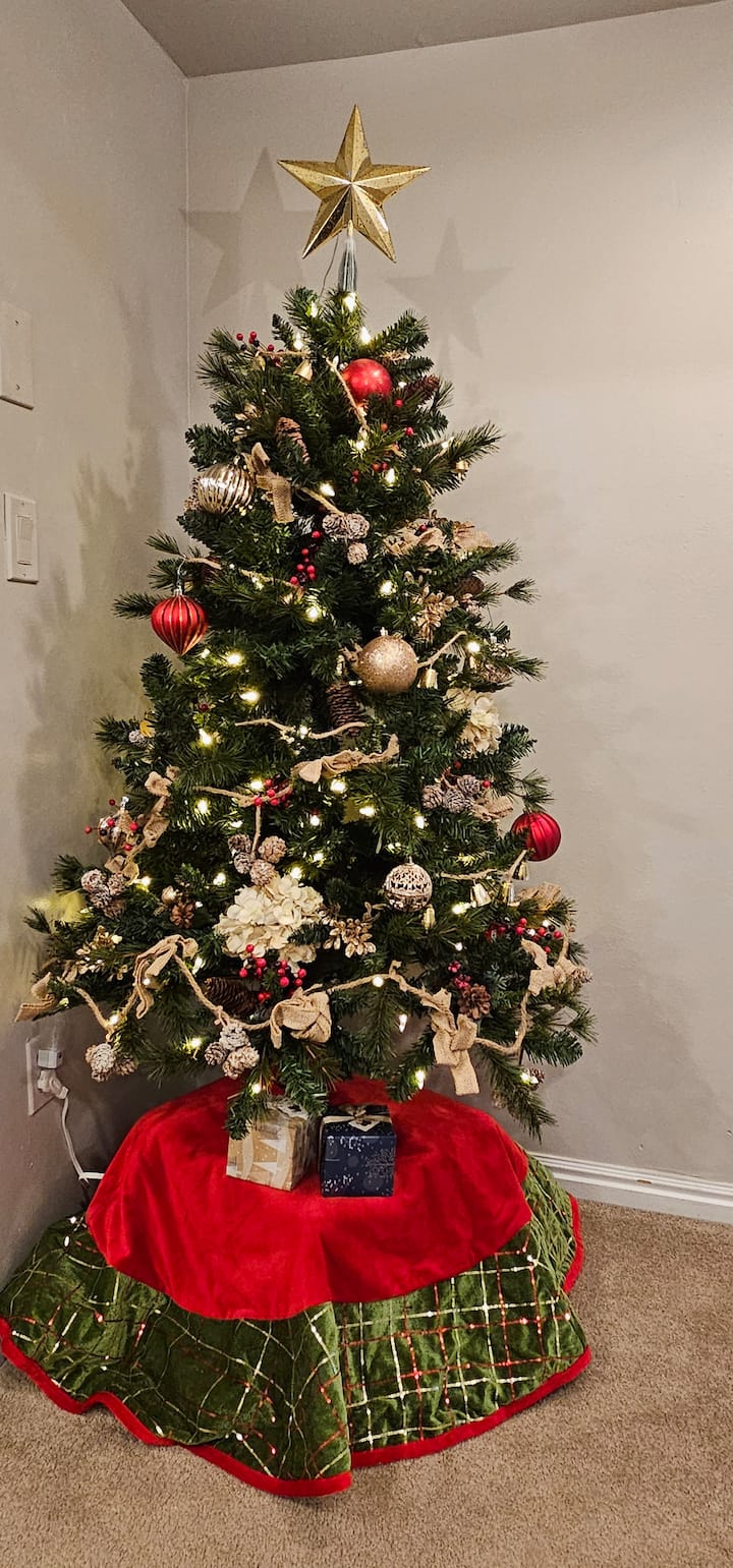 Cozy Christmas Home - Orem, UT