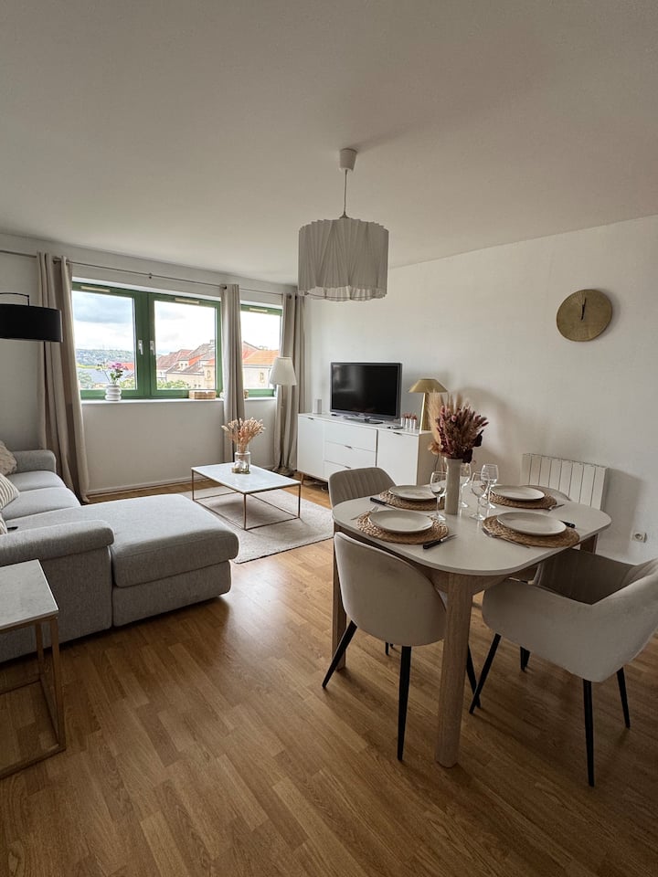 Charmant Appartement En Plein Cœur De Metz - Metz