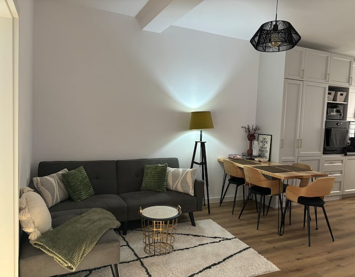 Cozy 2 Bedroom Apartment - Nagyszeben