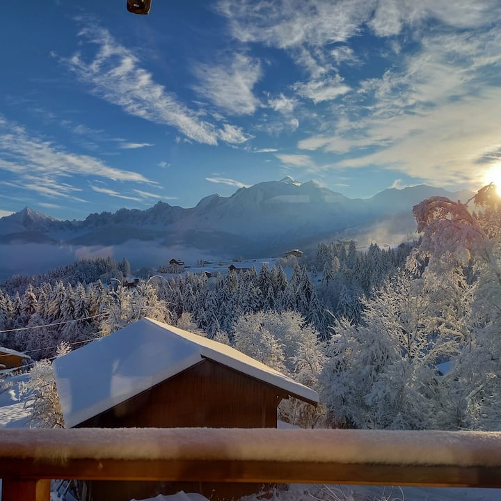 Chalet D'alpage Cosy, Détente, Famille, Mont Blanc - Praz-sur-Arly