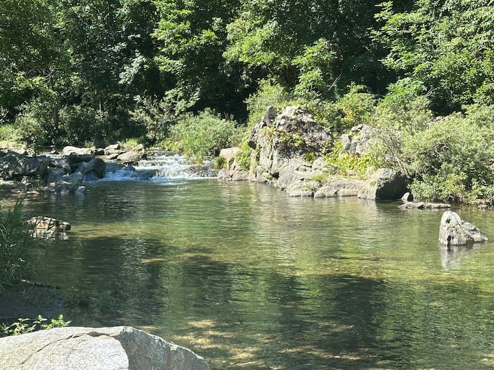 소정
독채펜션ㆍ스파ㆍ잔디정원ㆍ비발디파크ㆍ오션월드(8분)ㆍ서울60분ㆍ침실3개ㆍ욕실3개ㆍ오락기 - 금왕읍