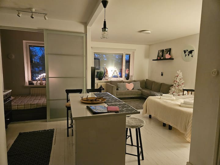 Nordic Pink Nest - Rovaniemi