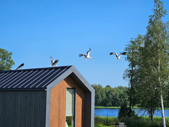 Lakeside Cottage With Sauna & Sandy Beach - Latvia