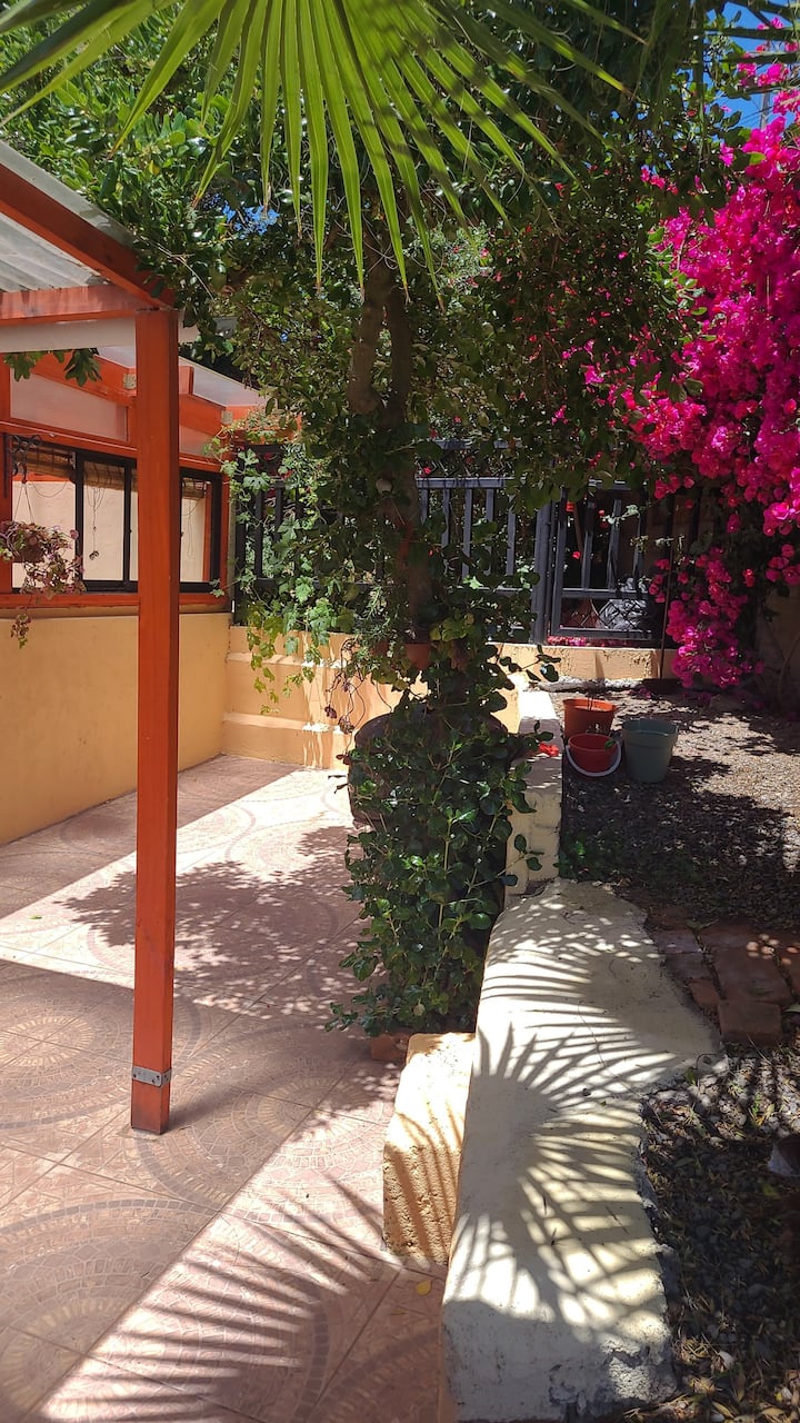 Casa  Del áRbol Concón - Concón