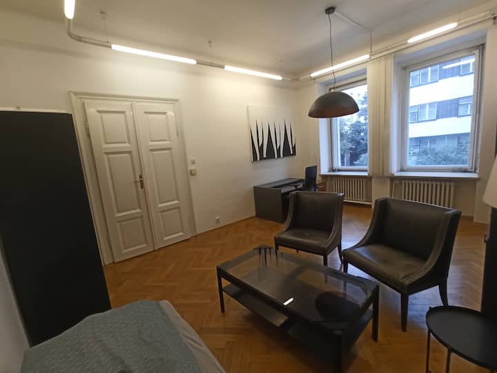 Bright Business Room In Prague 2 - Praag