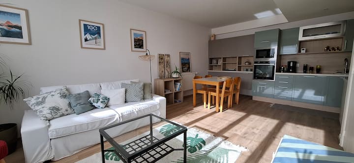 Appartement Spacieux Centre-ville - Oloron-Sainte-Marie