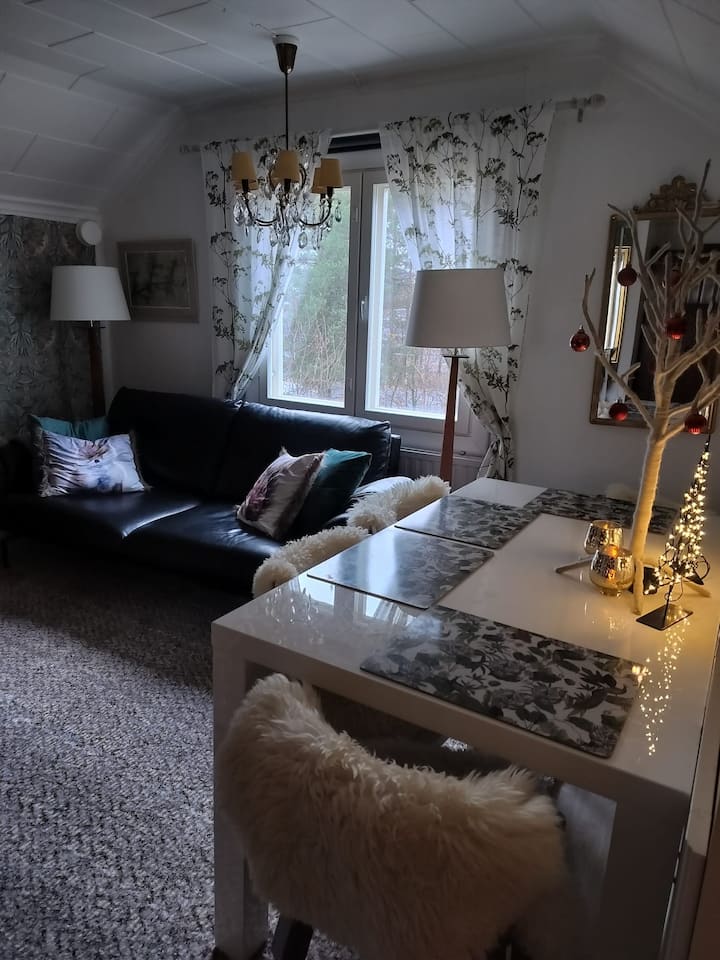 Viihtyisä Kaksio Omakotitalossa - Rovaniemi