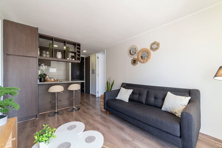 Oasis En Barrio Italia Con Estacionamiento Gratis - Providencia