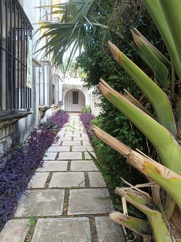 Estudio Pinos - Mérida