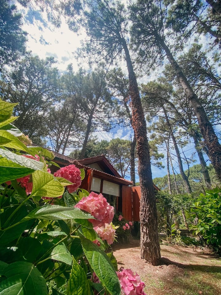 Casa De Verano - Santa Teresita