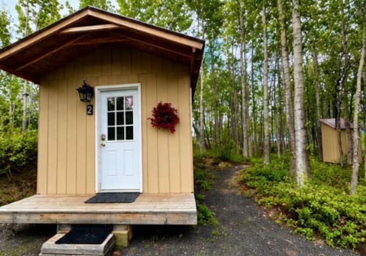 Cozy And Rustic Cabin With Starlink - Alaska