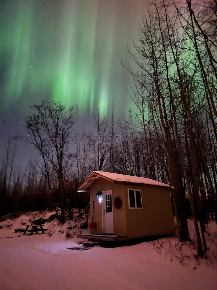 Glacier View Cabin #2 Queen Bed W/2 Bunks - Glacier View, AK