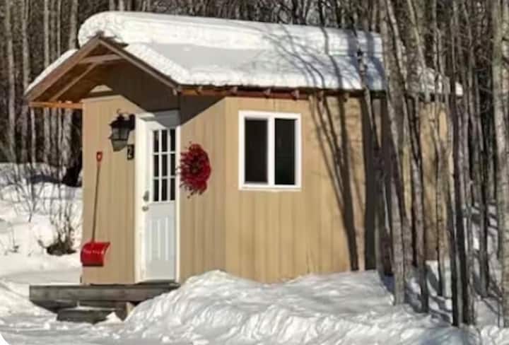Glacier View Cabin #2 Queen Bed W/2 Bunks - Glacier View, AK