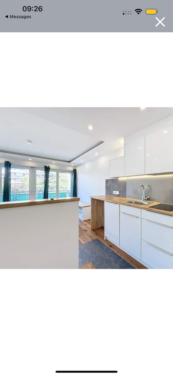 Studio Meublé Et Rénové - Ibis Styles Annemasse Genève
