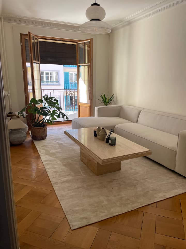 Charming Apartment Central Geneva - Geneva
