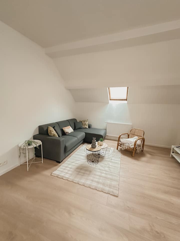 Cosy Flat In Central Brussels - Anderlecht