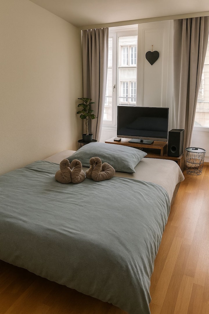 Central & Cosy Next To Cathedral - Freiburg