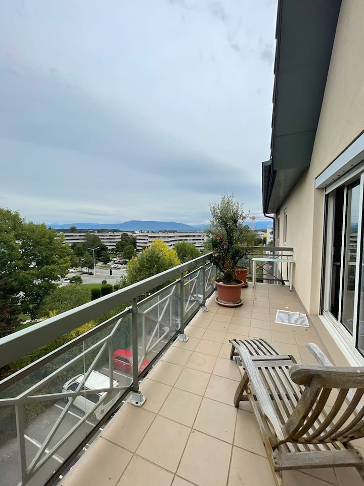 Amazing Flat In Ferney Center - Ferney-Voltaire
