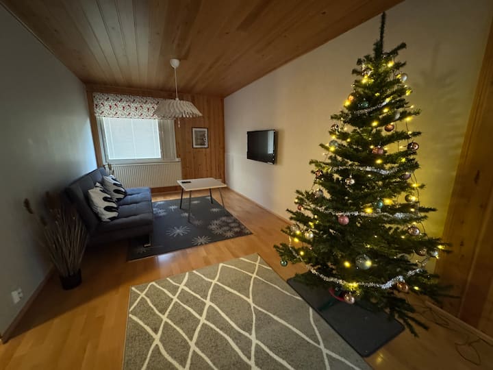 Rauhallinen Asunto Lähellä Jokea - Rovaniemi