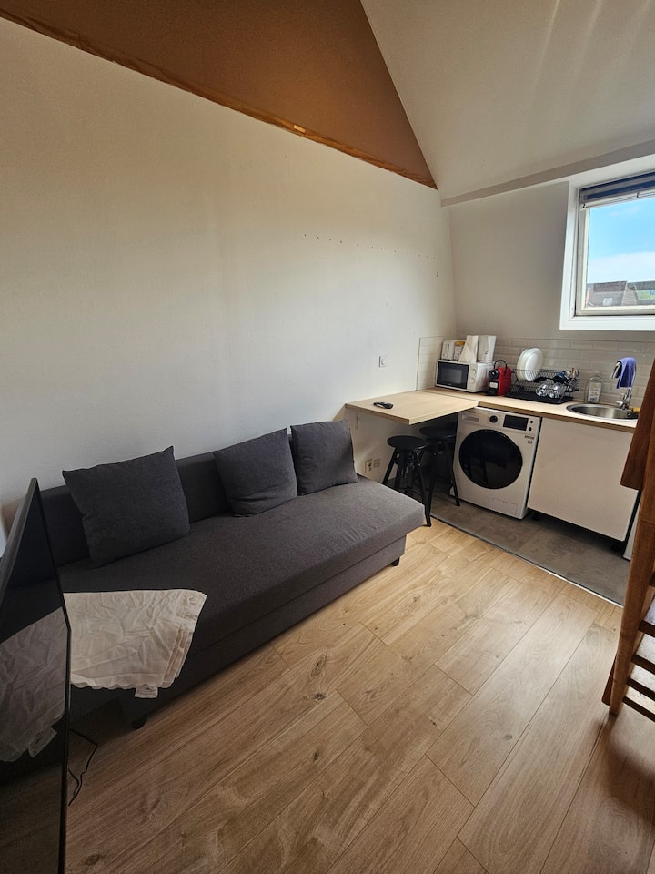 Noisetier - Tourcoing