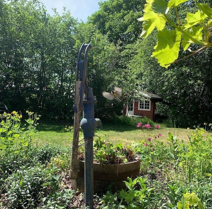 Naturskøn Sommerhus-gård - Billund