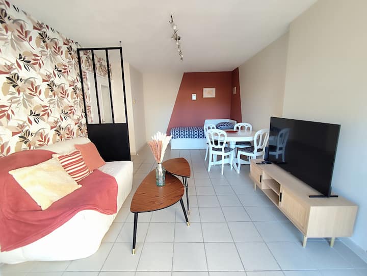 Appartement T2 Cosy Avec Balcon - Ambérieu-en-Bugey