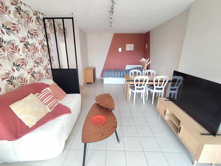 Appartement T2 Cosy 1 Chambre Avec Balcon - Ambérieu-en-Bugey
