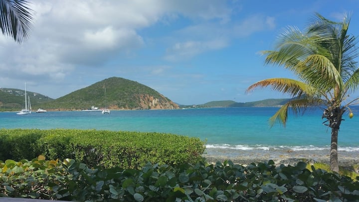 Paradise At The Waters Edge - Saint Thomas