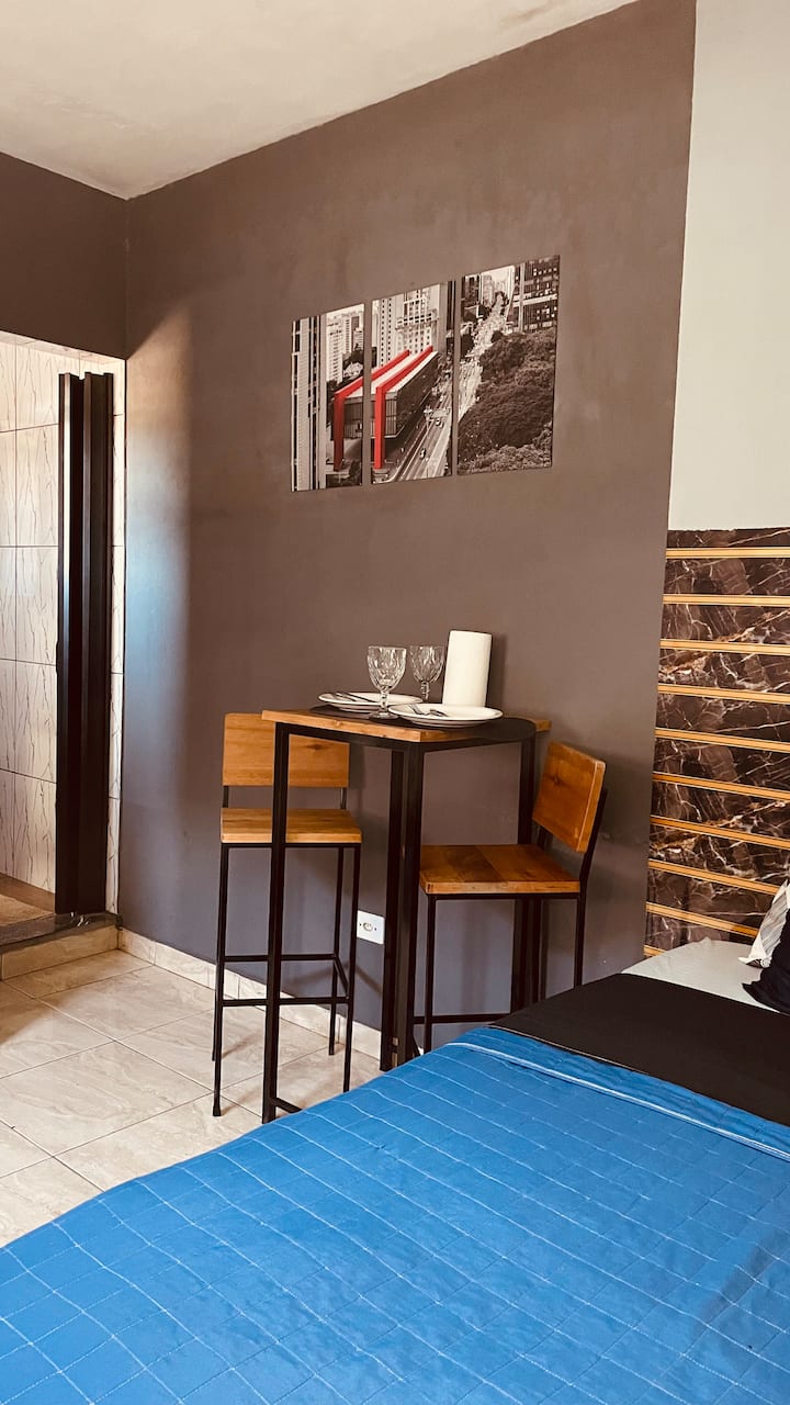 Studio16 Avec Espace Pour Animaux De Compagnie, Aéroport De Guarulhos, Climatisation - Guarulhos