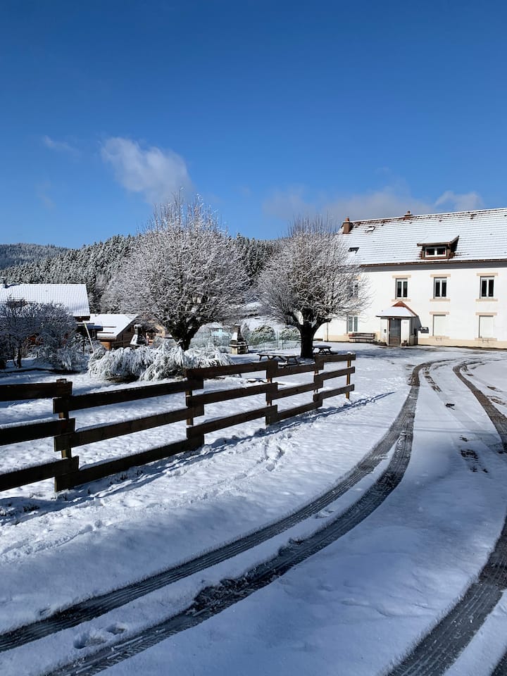 Appartement Entre Nature, Lac Et Sentiers - Jardin d'Altitude du Haut Chitelet