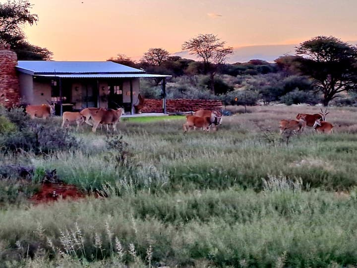 Moonrise Cabin - Namibia