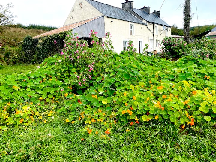 Vibrant Artists Home Co Leitrim Lough Allen - Írország