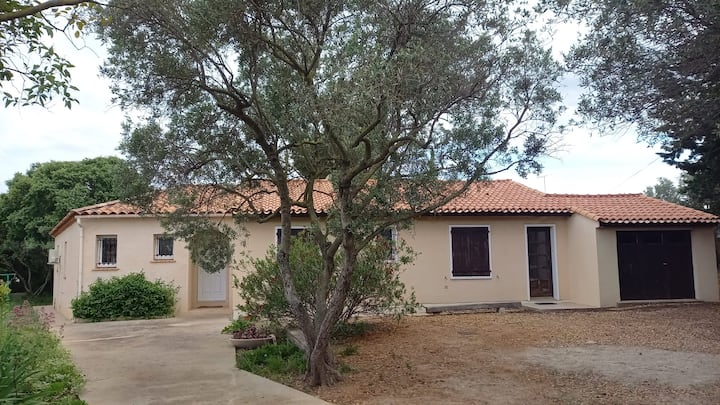 Grande Maison Arborée à Frontignan - Vic-la-Gardiole