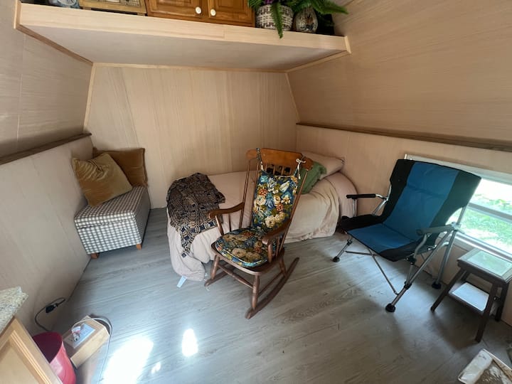 Sunflower - Bryson City, NC