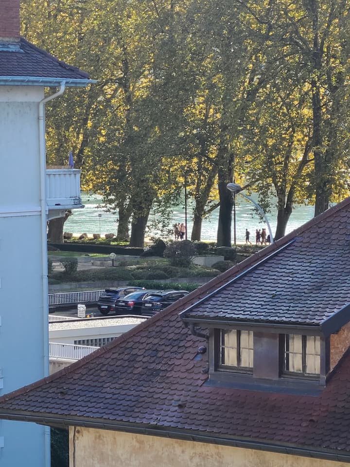 Un Bijou Proche De Tout - T3 - Annecy