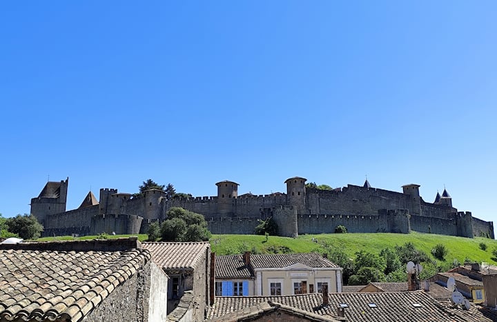 Vue Imprenable Sur La Cité- Clim- 4 Pers - Carcassonne