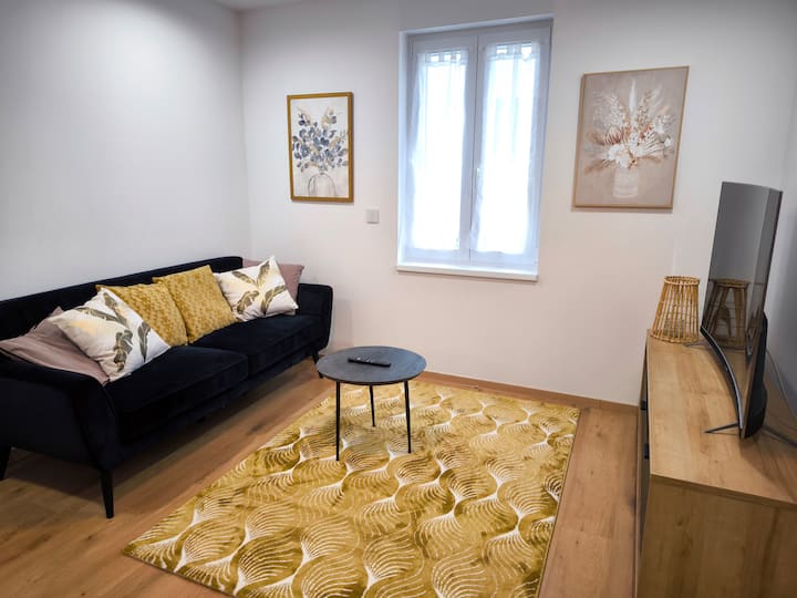 Maison D’alsace – L’appartement ÉTage 02 - Le Zénith de Strasbourg