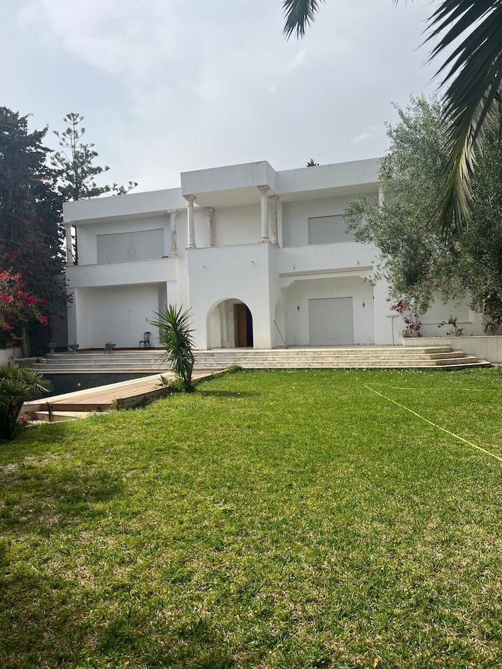 Jasmine - Hammamet