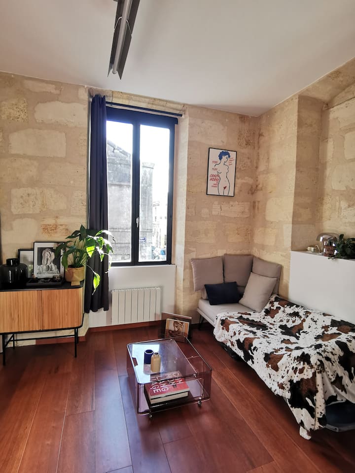 Studio Type Loft Bordeaux Centre - Bordeaux