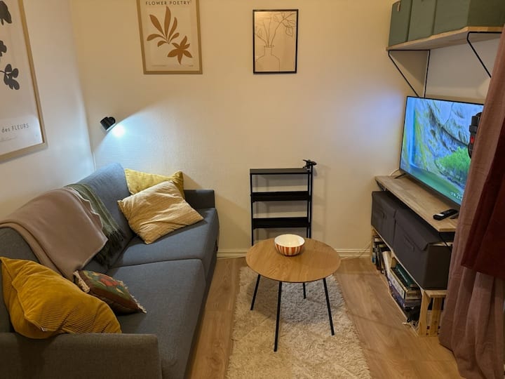 Cute Apartment In Central Oslo - Oslo